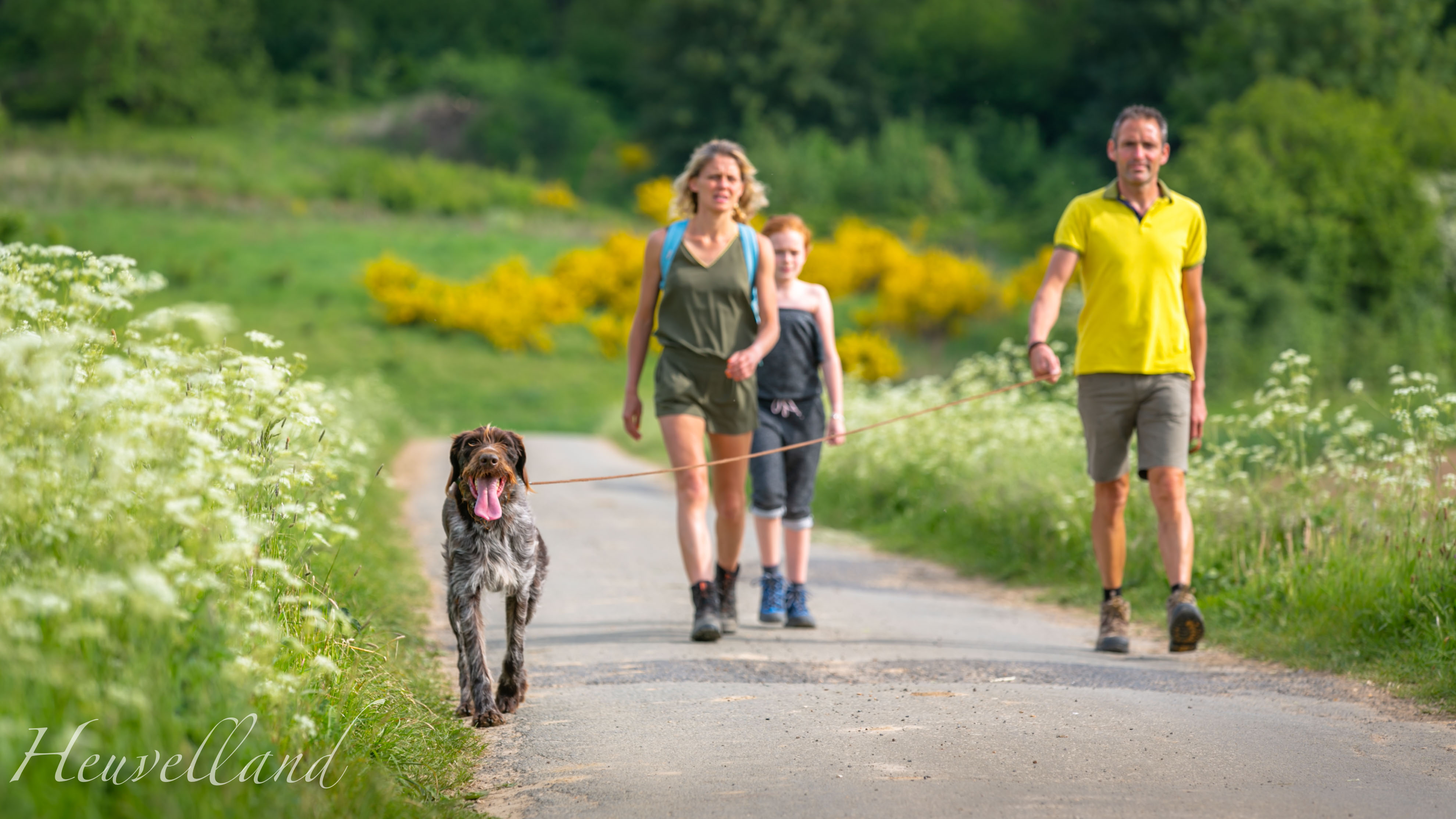 Hondsdolle Wandeling
