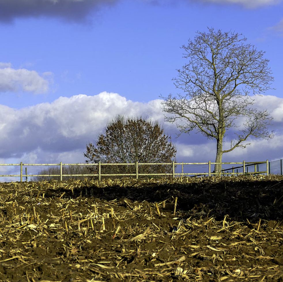 Fototentoonstelling "eenvoud in veelvoud"